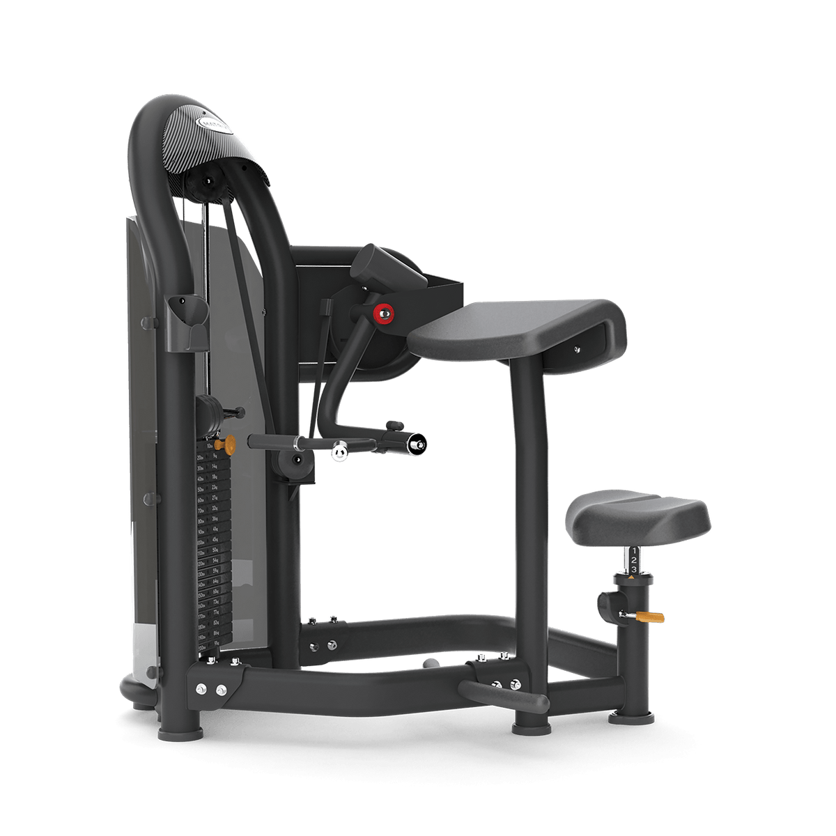 Matrix Aura Arm Curl – Johnson Health Tech New Zealand